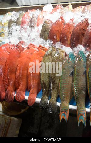 Auf dem Makt in Labuan Bajo wird viel Obst angeboten. *** The market in ...