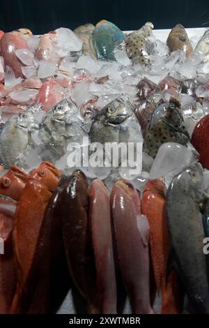 Auf dem Makt in Labuan Bajo wird viel Fisch angeboten. *** The market ...