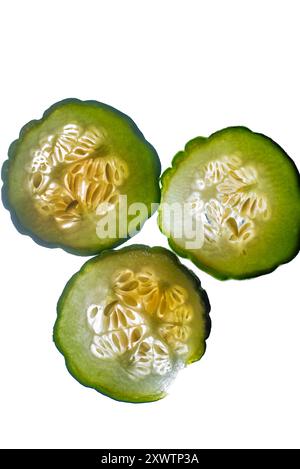 Ripe carosello cucumber (Cucumis melo), a variety of cucumber mixed ...