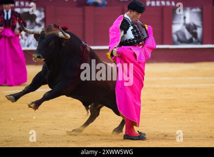 Spanish bullfighter Fortes performs during a bullfight at the San ...