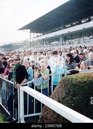 atmosphere and thrill of a day at the races with the crowd and the ...