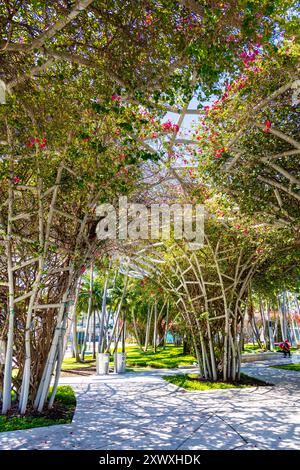 Gateway Bouquets - green canopies / pergolas planted with ...