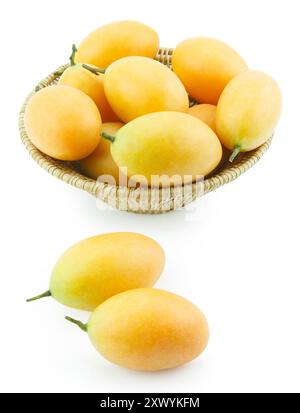 Marian plum fruit in marian plum tree in the garden tropical fruit ...