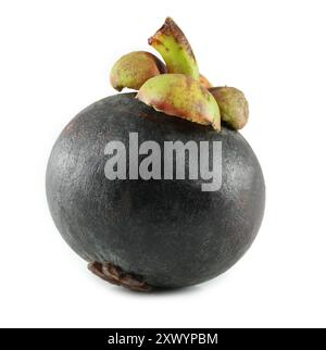 single mangosteen on white background Stock Photo - Alamy