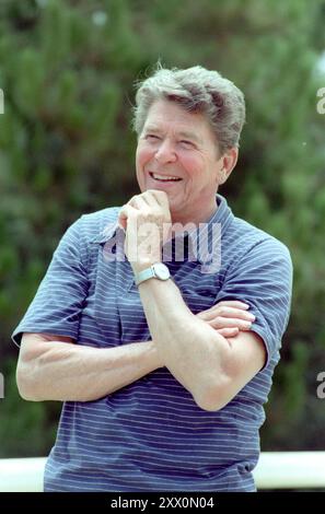 Official Portrait of President Reagan. July 2, 1981 Stock Photo - Alamy