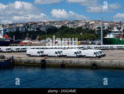 Haydarpaşa Port is a cargo transfer port located within the district of ...