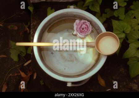 Flower and Ladle in a pail of water in Japan Stock Photo - Alamy