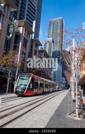The frequent commuter service of Sydney’s Light Rail, (tram) trundles ...