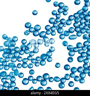 Science theme with translucent blue globules isolated in white back ...