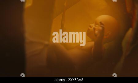 3D animated graphics of baby developing in mother womb and amniotic ...