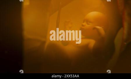 3D animated graphics of baby developing in mother womb and amniotic ...