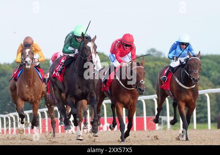 Cloud Seeker ridden by Andrew Slattery after winning the Leopardstown ...