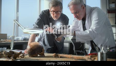 Archaeological laboratory: Senior paleoanthropologist and mature ...