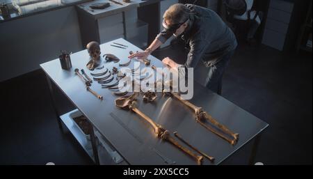 Archaeological laboratory: High angle of mature archaeologist in AR ...