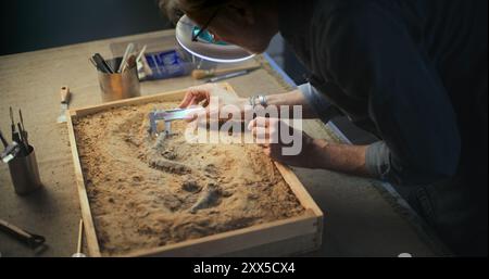 Mature archaeologist takes measurements of dinosaur skeleton using ...