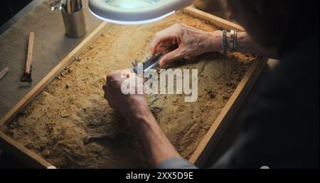 Archaeologist takes measurements of dinosaur remains with colleague ...