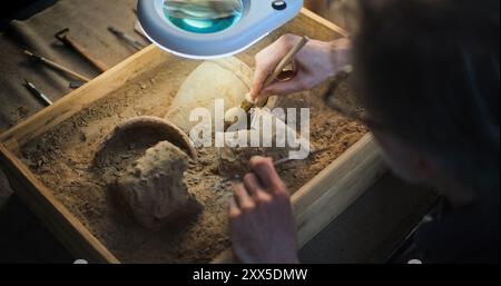 Close up of mature archaeologist cleaning cultural heritage of extinct ...