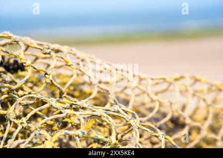 Bright Contrast: Yellow Net Washed Ashore on the Beach Stock Photo - Alamy