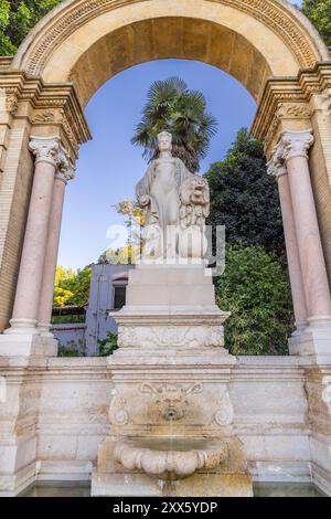 One cat in a city park. Bengal wildcat walk on the forest in collar ...