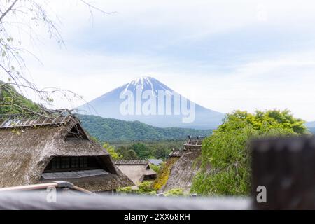 Mount Fuji rises behind budding branches, captured through natural ...