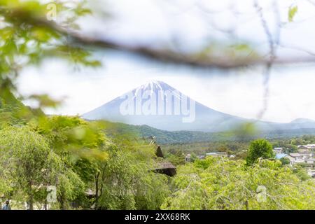 Peering through Trees to see Mount Fuji, tokyo Japan Stock Photo - Alamy