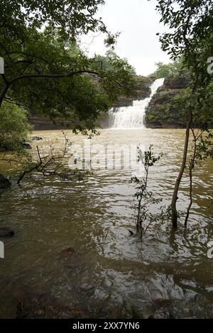 Pandav Falls, nestled within Panna National Park in Madhya Pradesh's ...