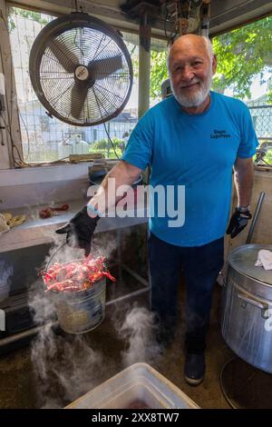 United States, Louisiana, Berwick, in the kitchen of the Bayou ...