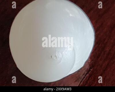 Milk Moon Snail (Polinices lacteus) Mollusca Stock Photo - Alamy