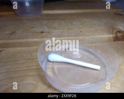 Common Spitting Spider (Scytodes thoracica) Arachnida Stock Photo - Alamy