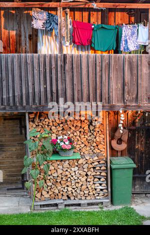 landscape with wooden shed, garden shed, clothes drying outside, summer ...