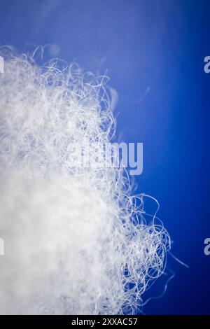 Extreme macro of polyester stable fiber on red background. Selective ...