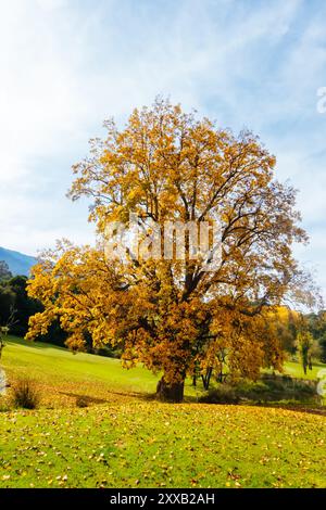 Warburton Golf Club in Australia Stock Photo - Alamy