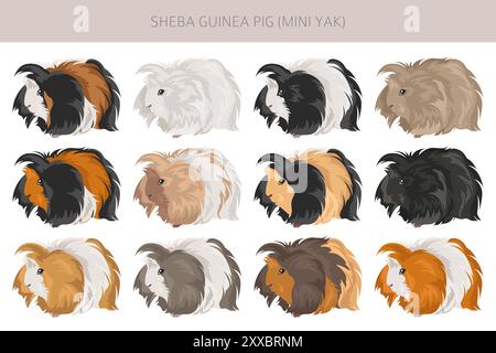 Sheba Guinea pig clipart. Sheba Mini Yak. All coat colors cavies set ...