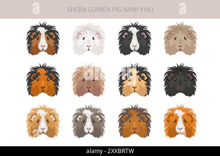 Sheba Guinea pig clipart. Sheba Mini Yak. All coat colors cavies set ...