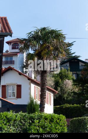White houses and villas of Saint Jean de Luz town on Basque coast ...