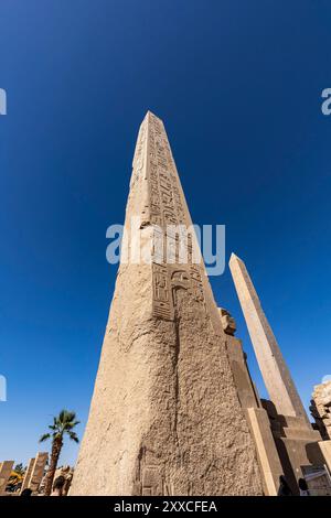 The obelisk of Egyptian pharaoh Thutmose I at Karnak Temple in Luxor ...
