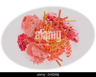 Molecular structure of a Lewy body, an abnormal aggregation of proteins ...