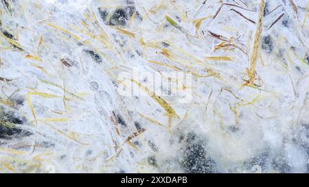 Grass trapped under ice caught in sunlight shoot from above Stock Photo ...