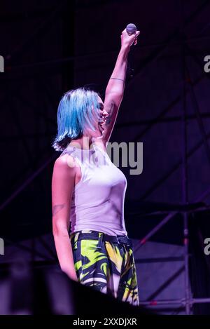 Rose Villain (Rosa Luini Stock Photo - Alamy