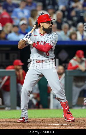 Los Angeles Angels' Anthony Rendon hits during spring training baseball ...