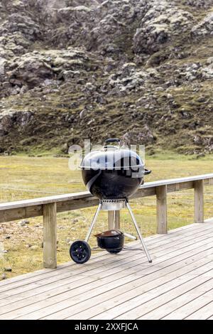 Scene Of Family Barbecue Grill Party Or Picnic On The Lawn In The ...