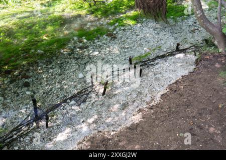 Chalk bed River Loddon in Basingstoke, with full bank erosion bypassing ...