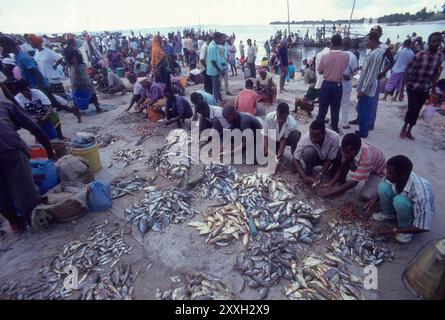 Fish market at Dar El Salam, Tanzania Stock Photo - Alamy