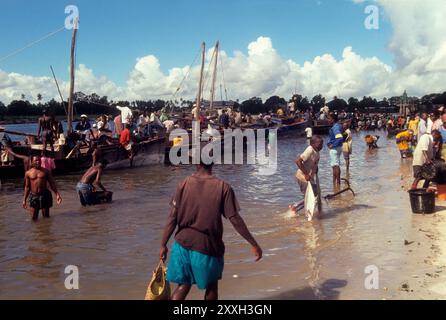 Fish market at Dar El Salam, Tanzania Stock Photo - Alamy