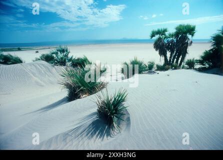 Dunes on Elyie Springs, Lake Turkana, Kenya Stock Photo - Alamy