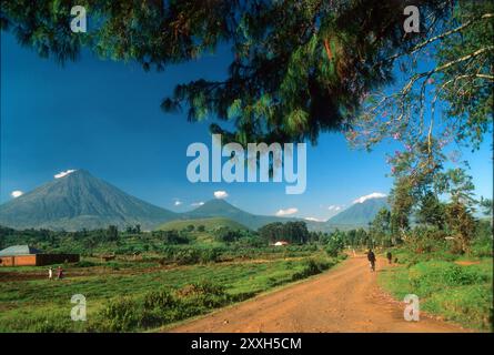 Virunga Volcanoes as seen from Kisoro town, left Mt Karisimbi and right ...