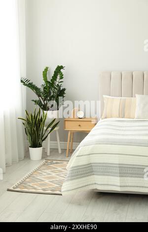 Large bed, houseplants and bedside table in stylish room Stock Photo ...