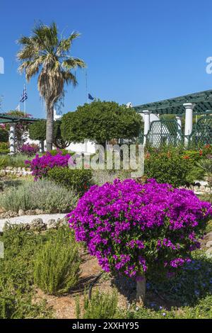 Baths of Kalithea, Rhodes, Greece, Europe Stock Photo - Alamy