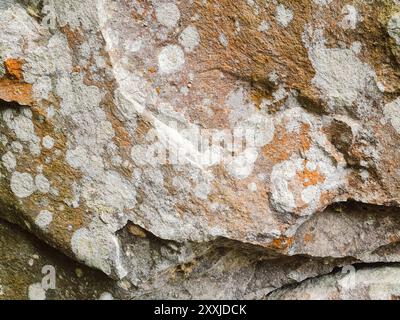 close up vief of detailed rock stone with some white mold stain, grunge ...
