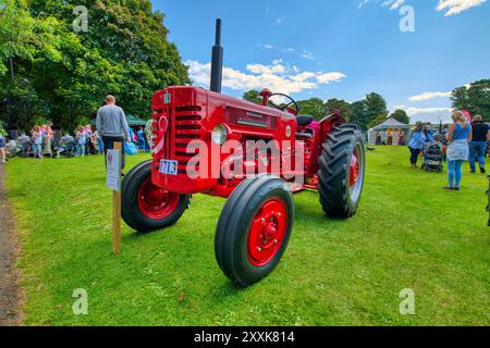 Vintage tractors, The Perth Show 2024 Stock Photo - Alamy